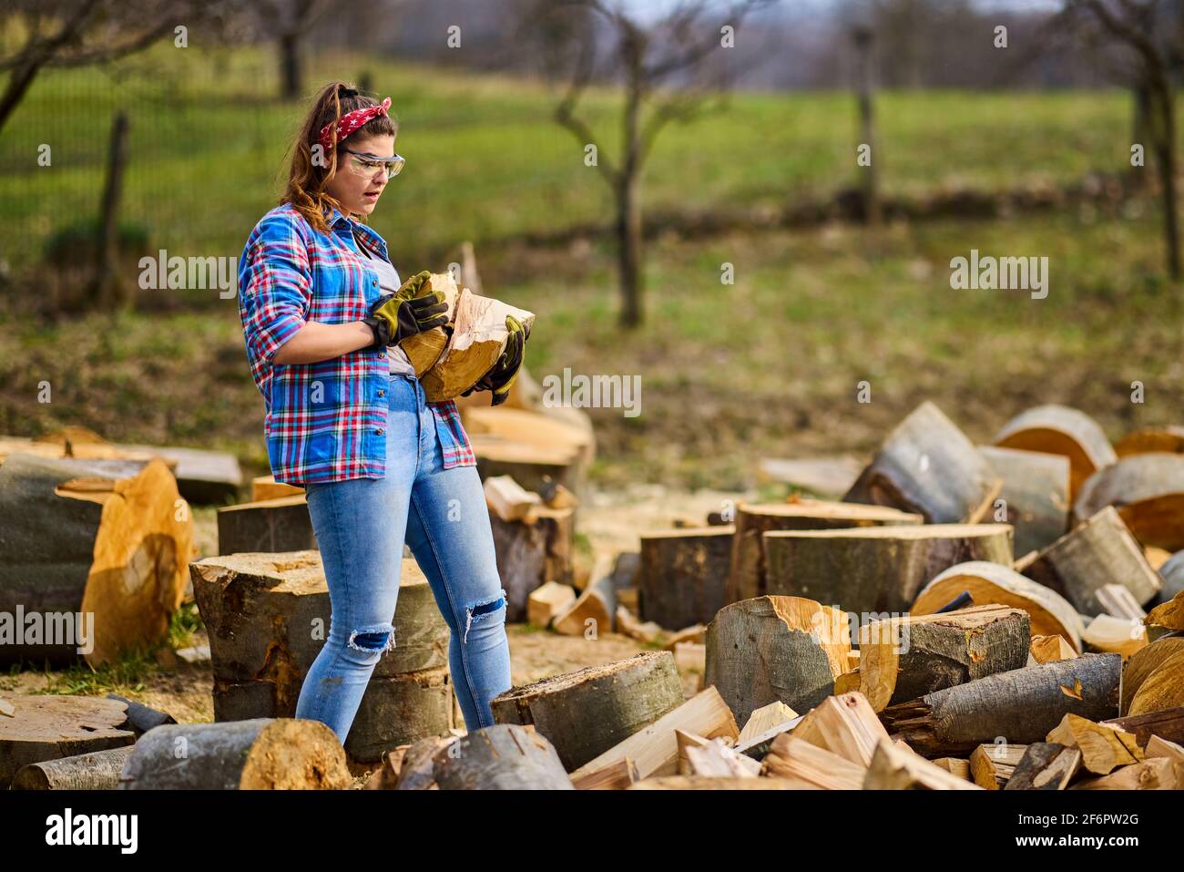 A Happy young woman collecting firewood Stock Photo - Alamy