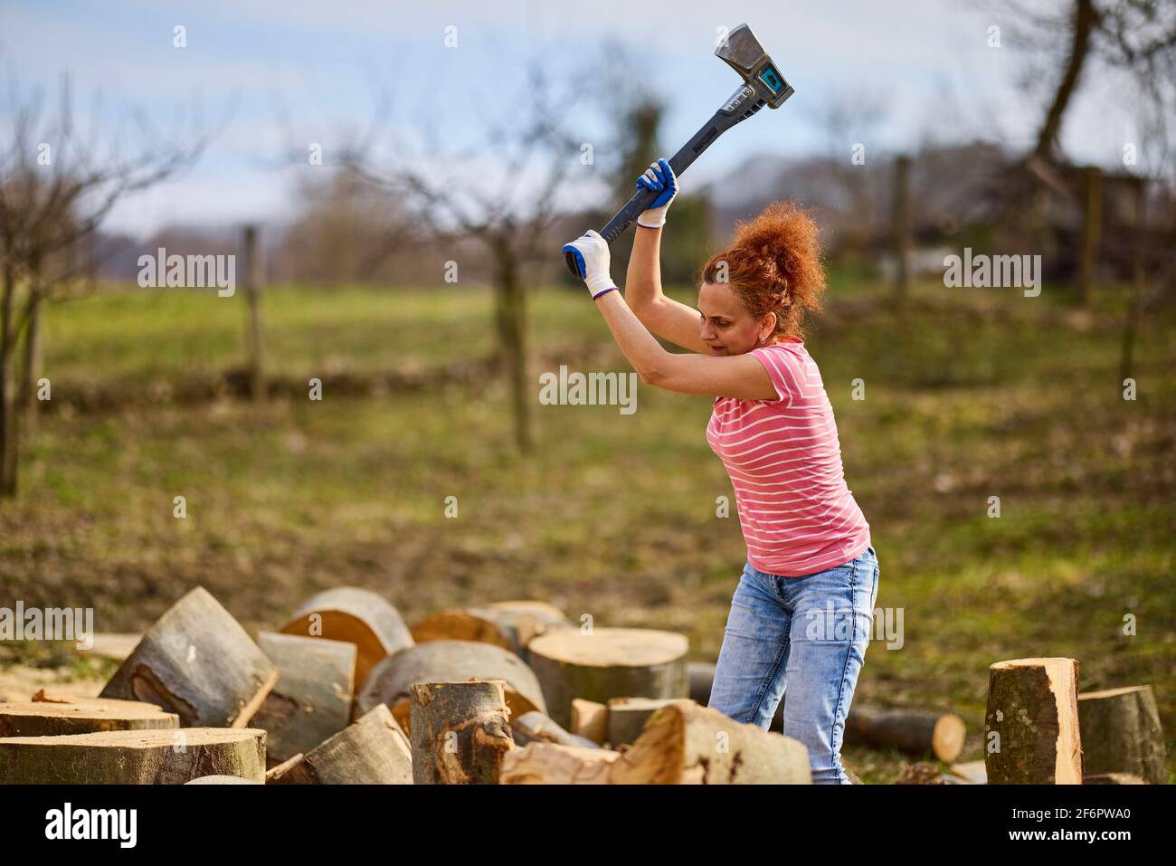 Strong woman splitting beech logs for firewood Stock Photo - Alamy