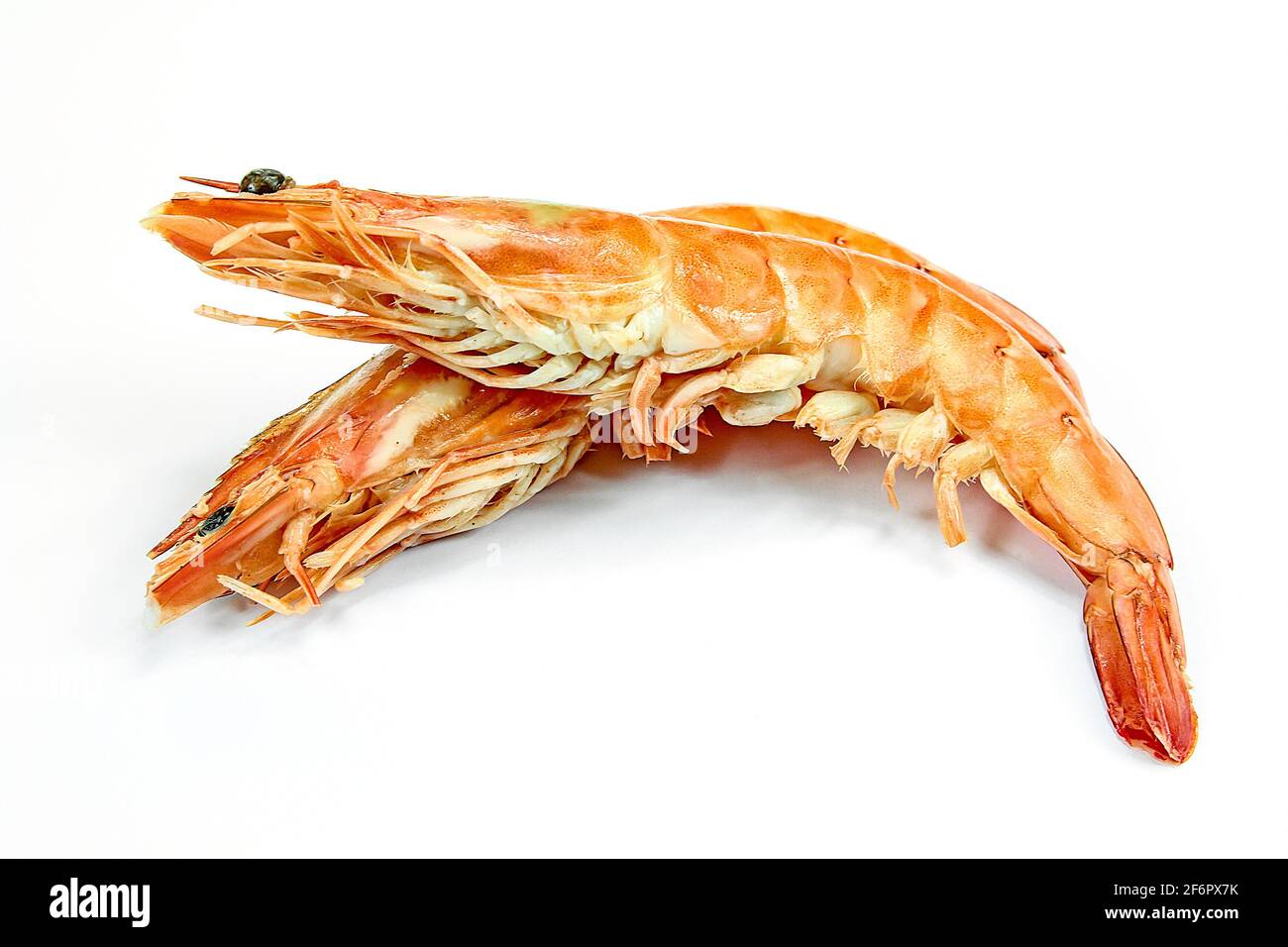 shrimp on white background Stock Photo - Alamy