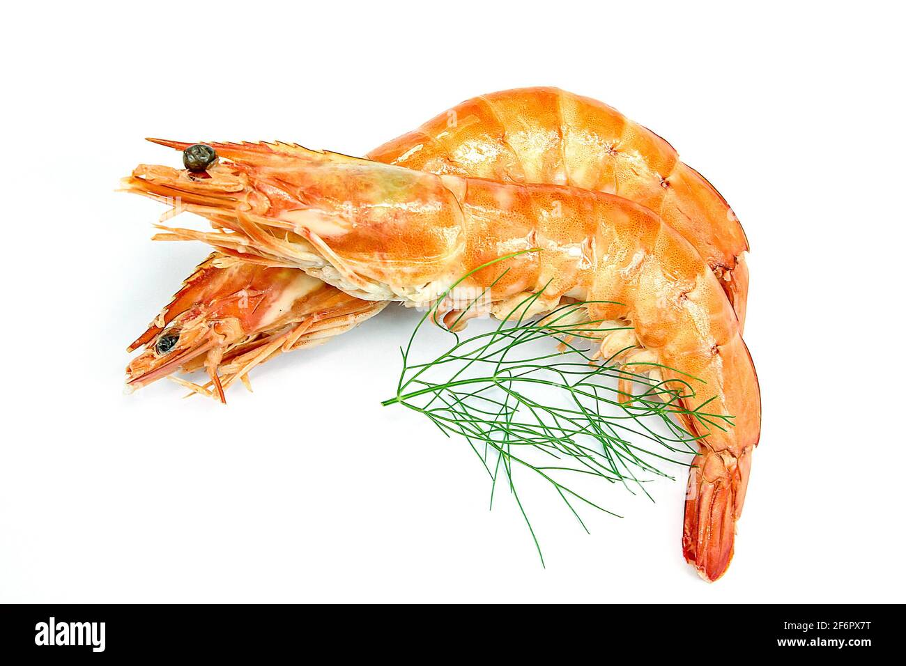 shrimp on white background Stock Photo - Alamy