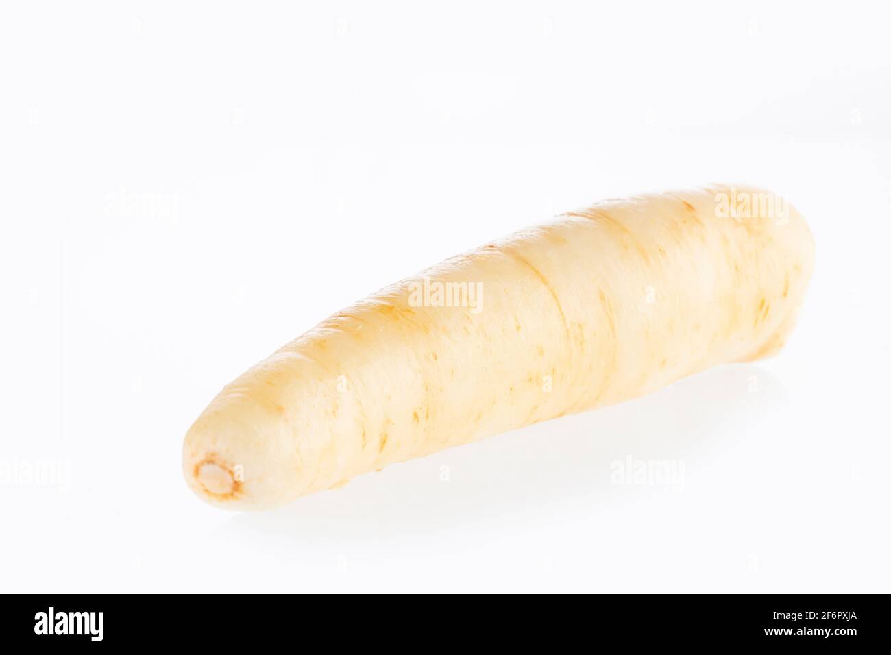 Arracacha - Arracacia xanthorrhiza - arracache, celery criollo, racacha ...