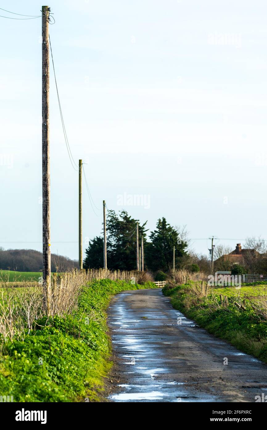 View along narrow country lane, road, between fields, after rainfall ...