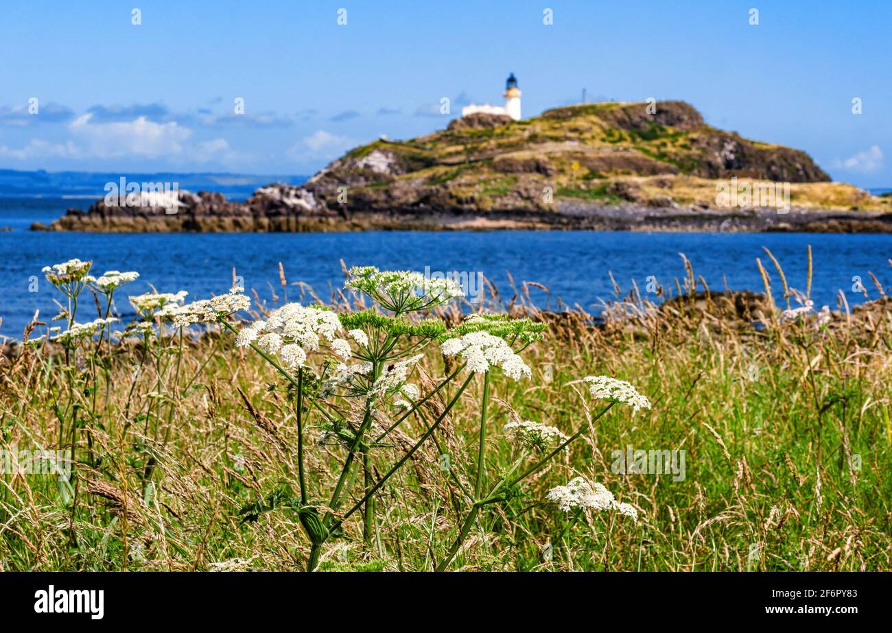 Fidra island hi-res stock photography and images - Alamy
