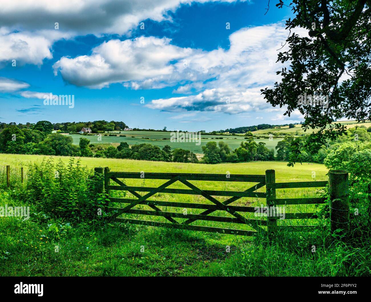 Rural view, green fields and old gate, East Lothian countryside on ...