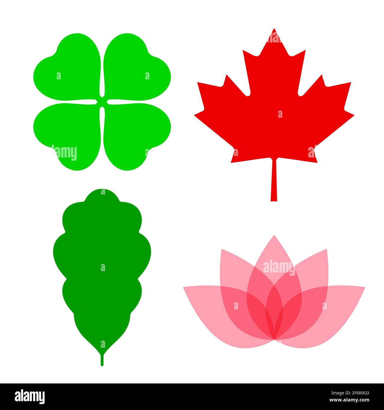 Geometric leaves of clover, maple, oak and lotus flower. illustration ...