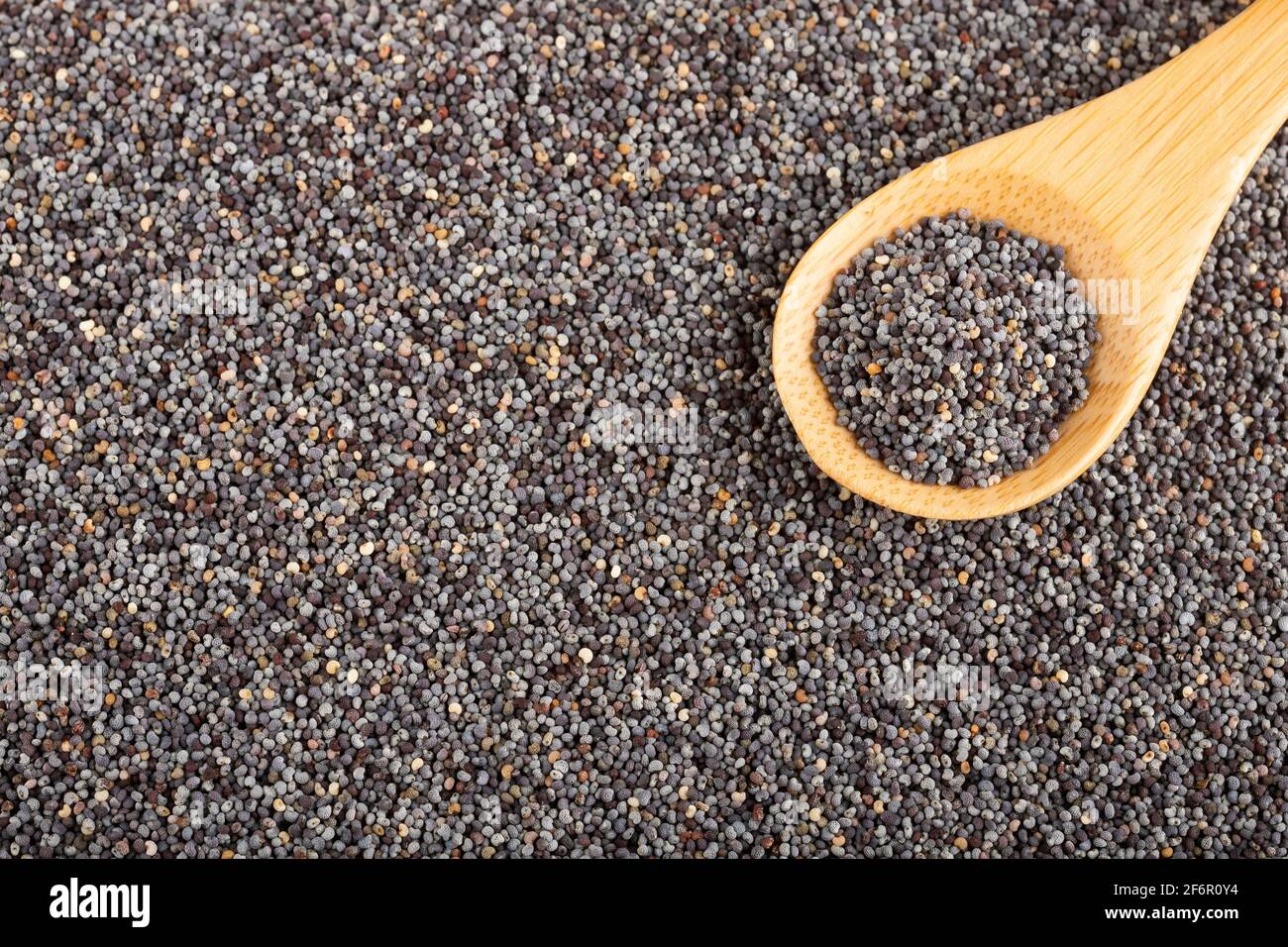 Organic poppy seeds - Papaver somniferum Stock Photo - Alamy