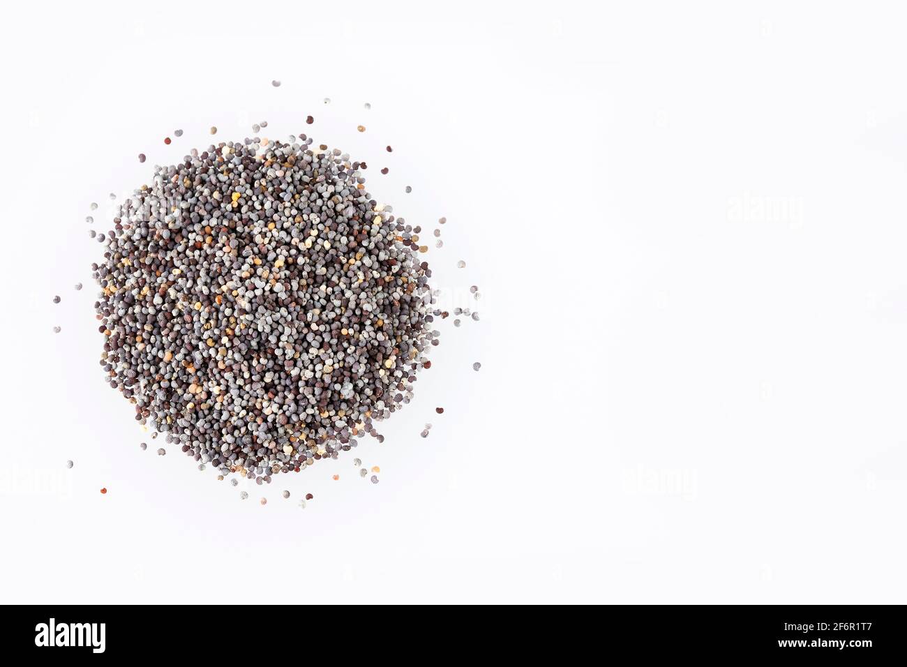 Organic poppy seeds - Papaver somniferum Stock Photo - Alamy