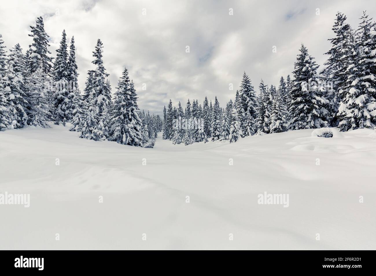 Mantle of snow hi-res stock photography and images - Alamy