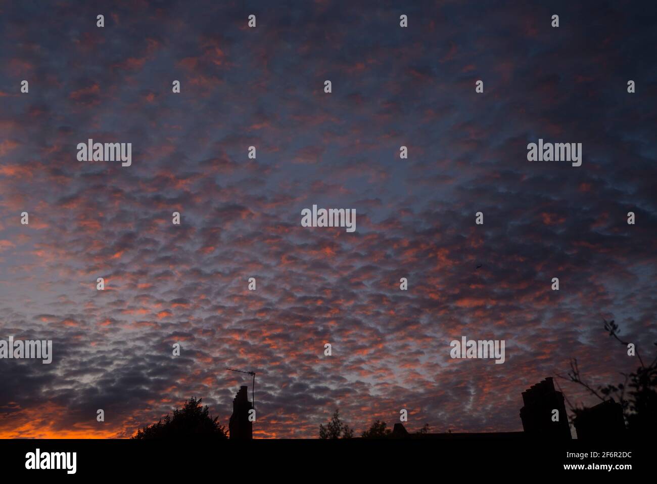 Weather: Beautiful colour in the cloudy sky at sunset. Raking grazing ...