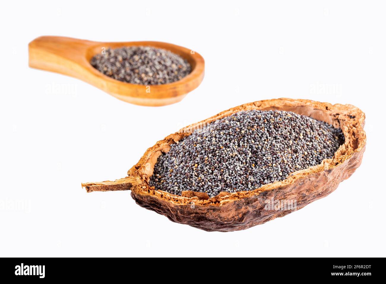 Organic poppy seeds - Papaver somniferum Stock Photo - Alamy