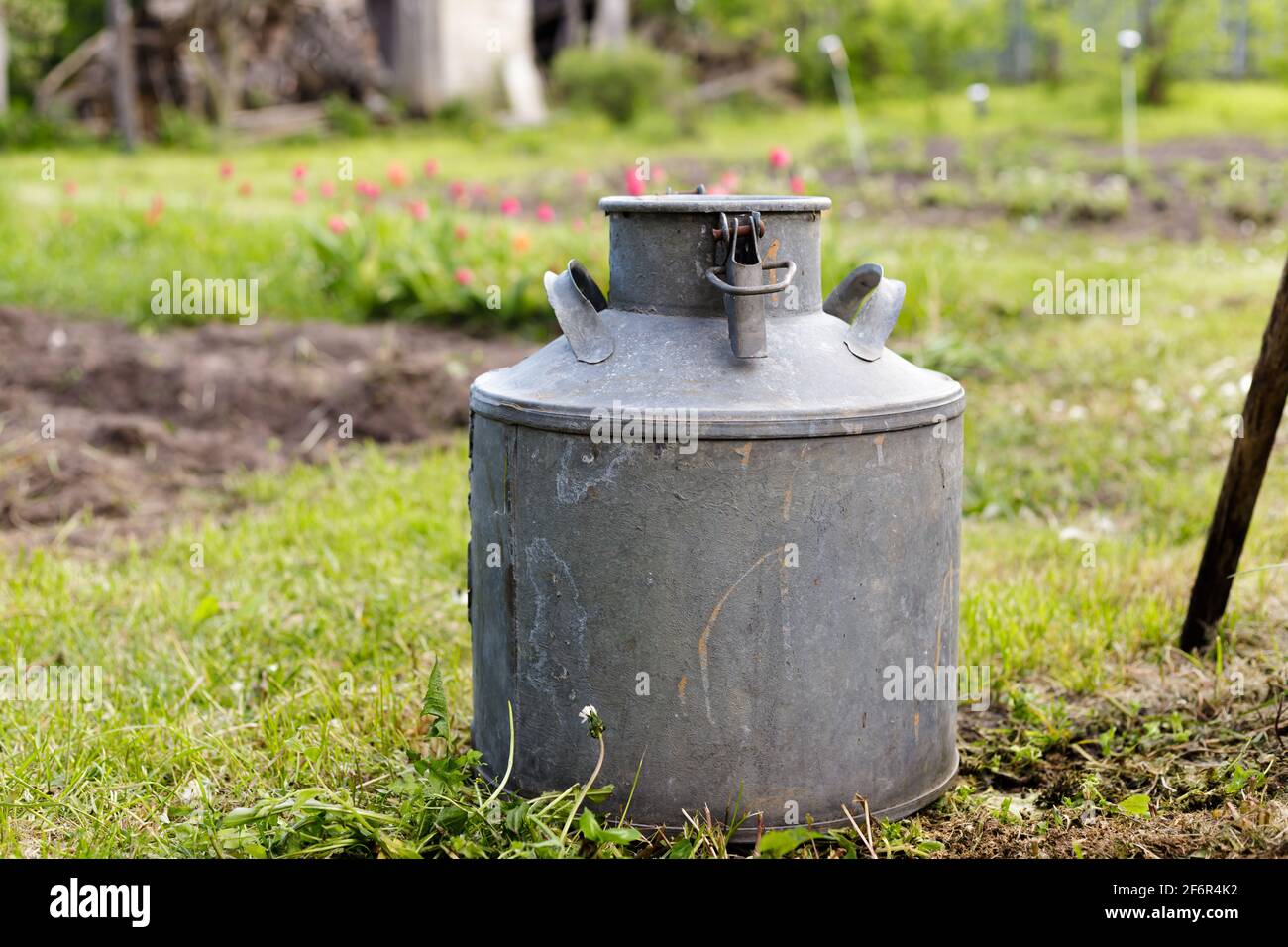 Traditional milk can on a green field in a small farm Stock Photo - Alamy