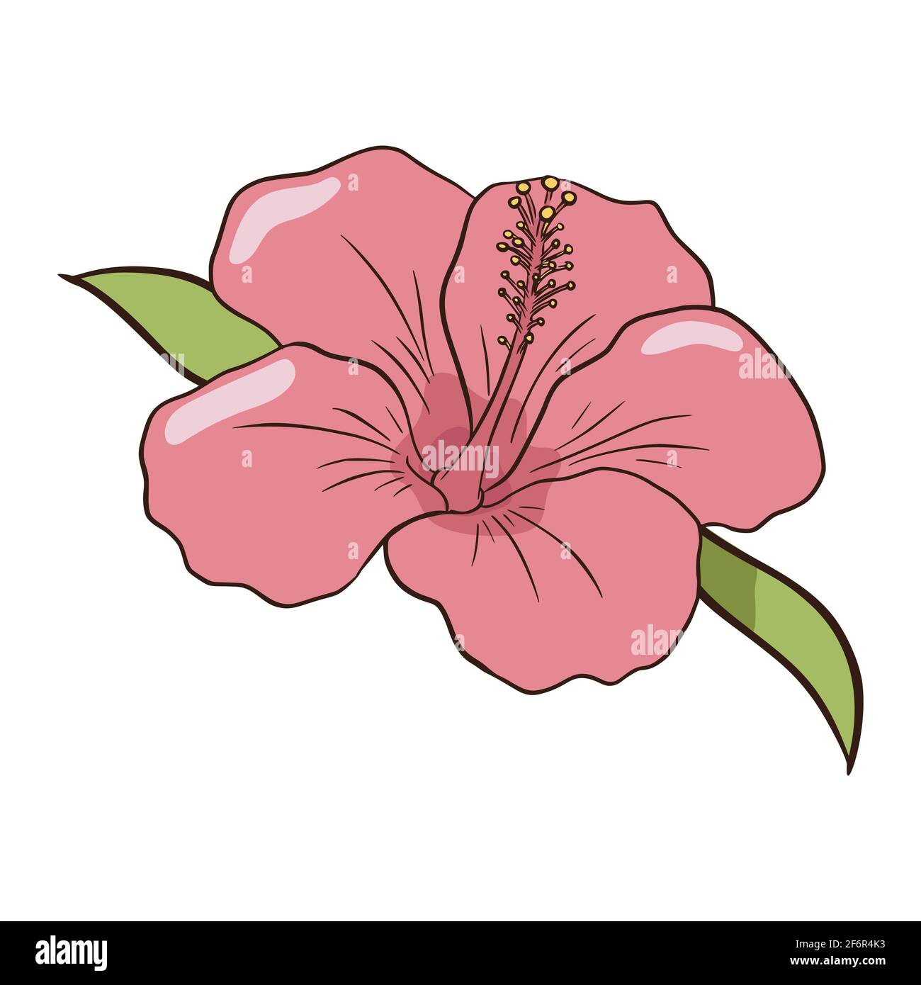 Hand Drawn Pink Hibiscus Icon Flat Style Line Drawing Colourful