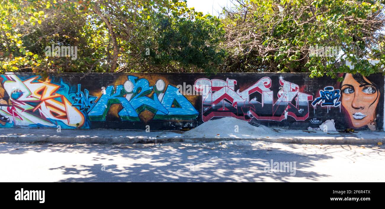 Tropical wall graffiti hi-res stock photography and images - Alamy