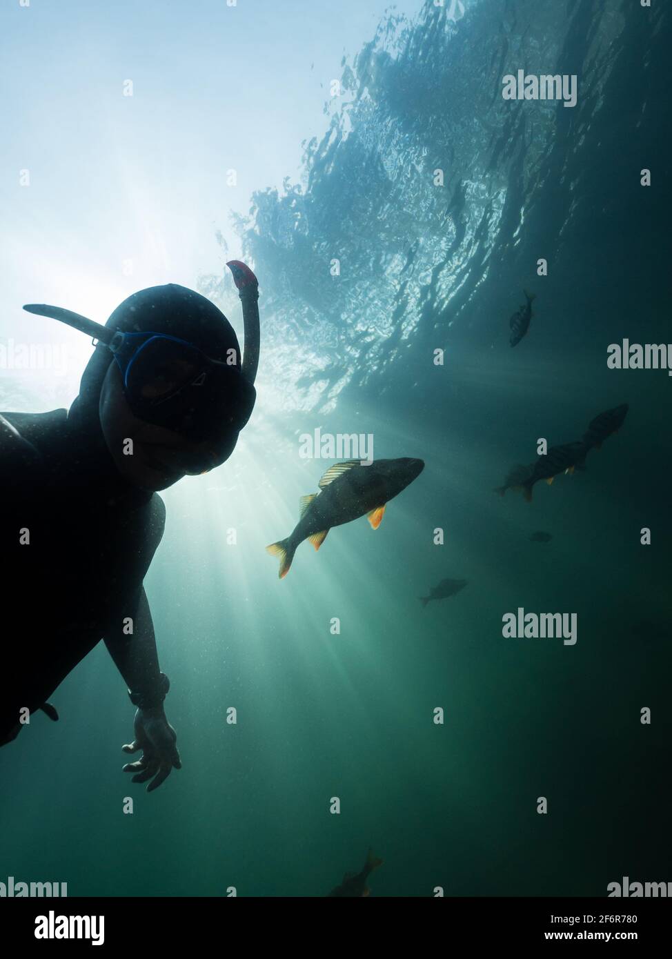 Freediver diving hi-res stock photography and images - Alamy