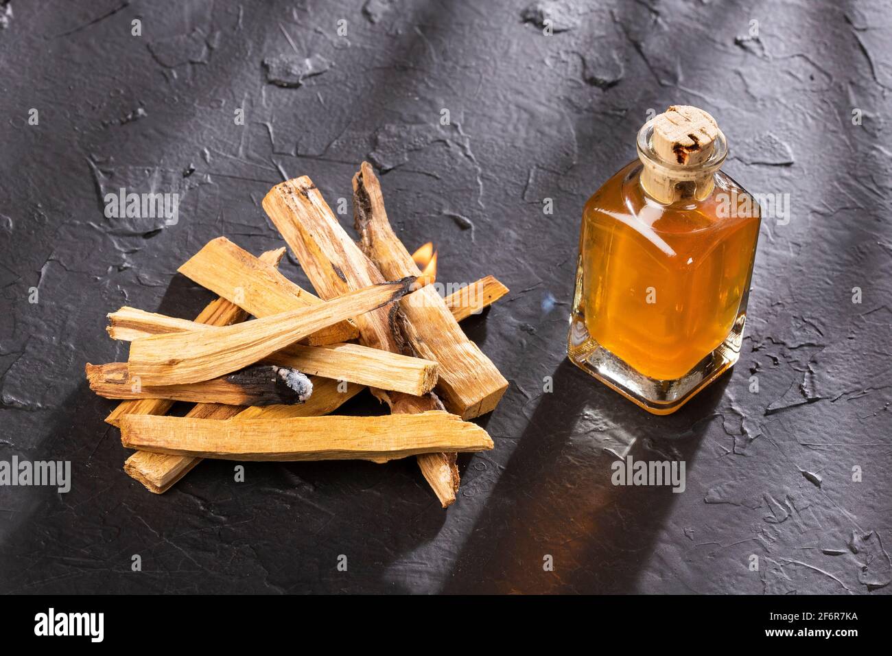 Bursera graveolens - Sacred tree of palo santo Stock Photo - Alamy
