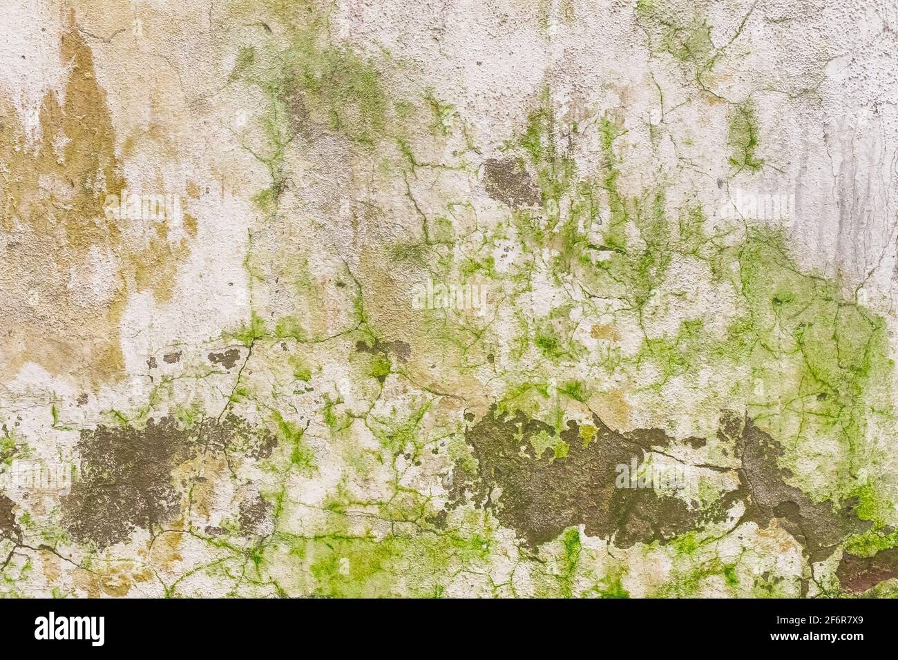 Dirty Concrete Wall