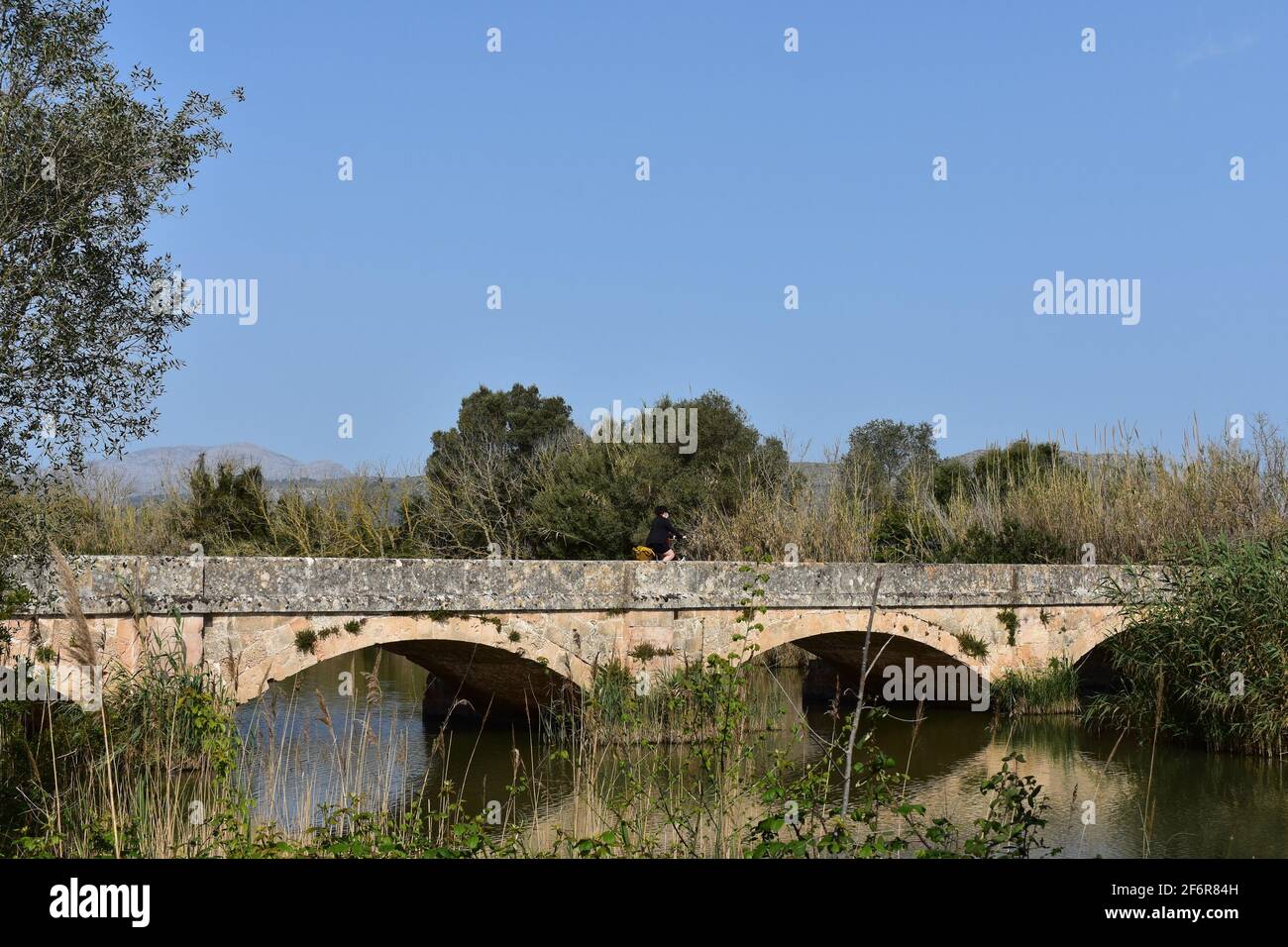 Albufera park mallorca hi-res stock photography and images - Alamy