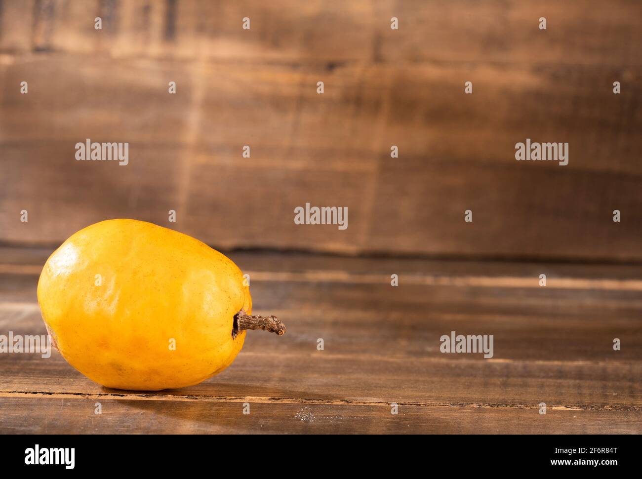 Spondias purpurea - plum, jobo, xocote, plum of huesito, jocote, cocota ...