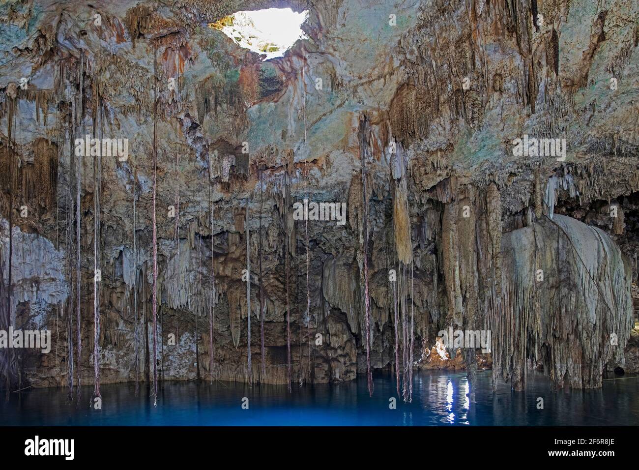 Yucatan peninsula cenote hi-res stock photography and images - Alamy