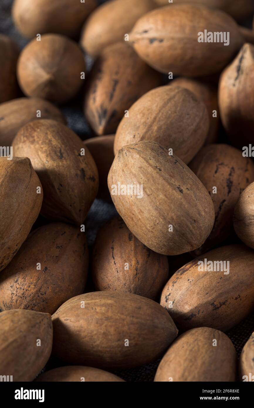 Raw Organic Whole Pecan Nuts in a Bowl Stock Photo - Alamy
