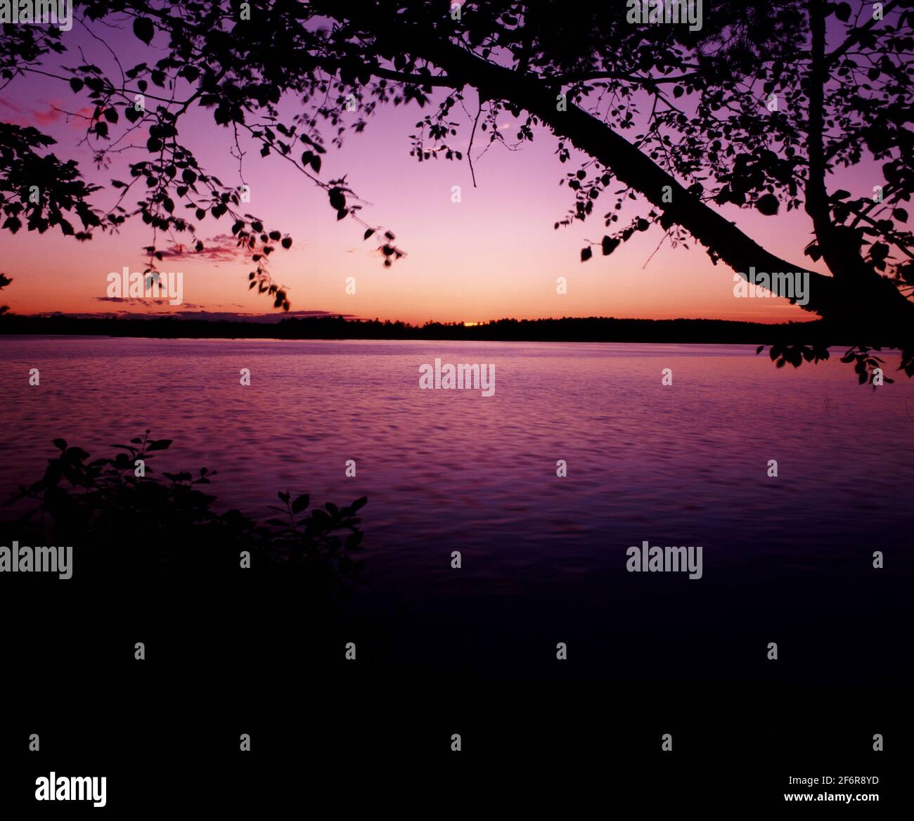 Lake sunset New Hampshire Stock Photo - Alamy