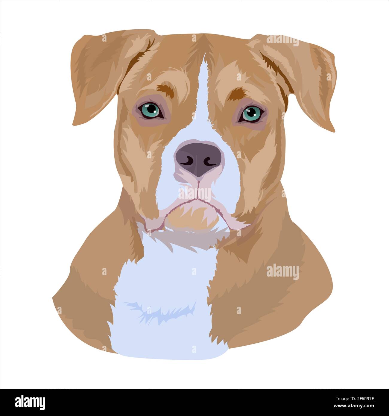 Dog portrait funny hair Stock Vector Images - Alamy