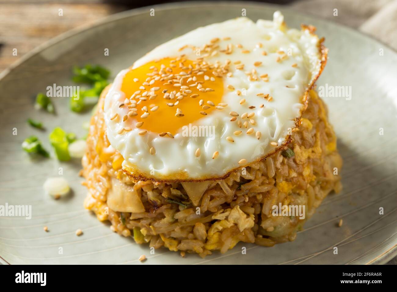 Homemade Potsticker Fried Rice with an Egg Stock Photo - Alamy