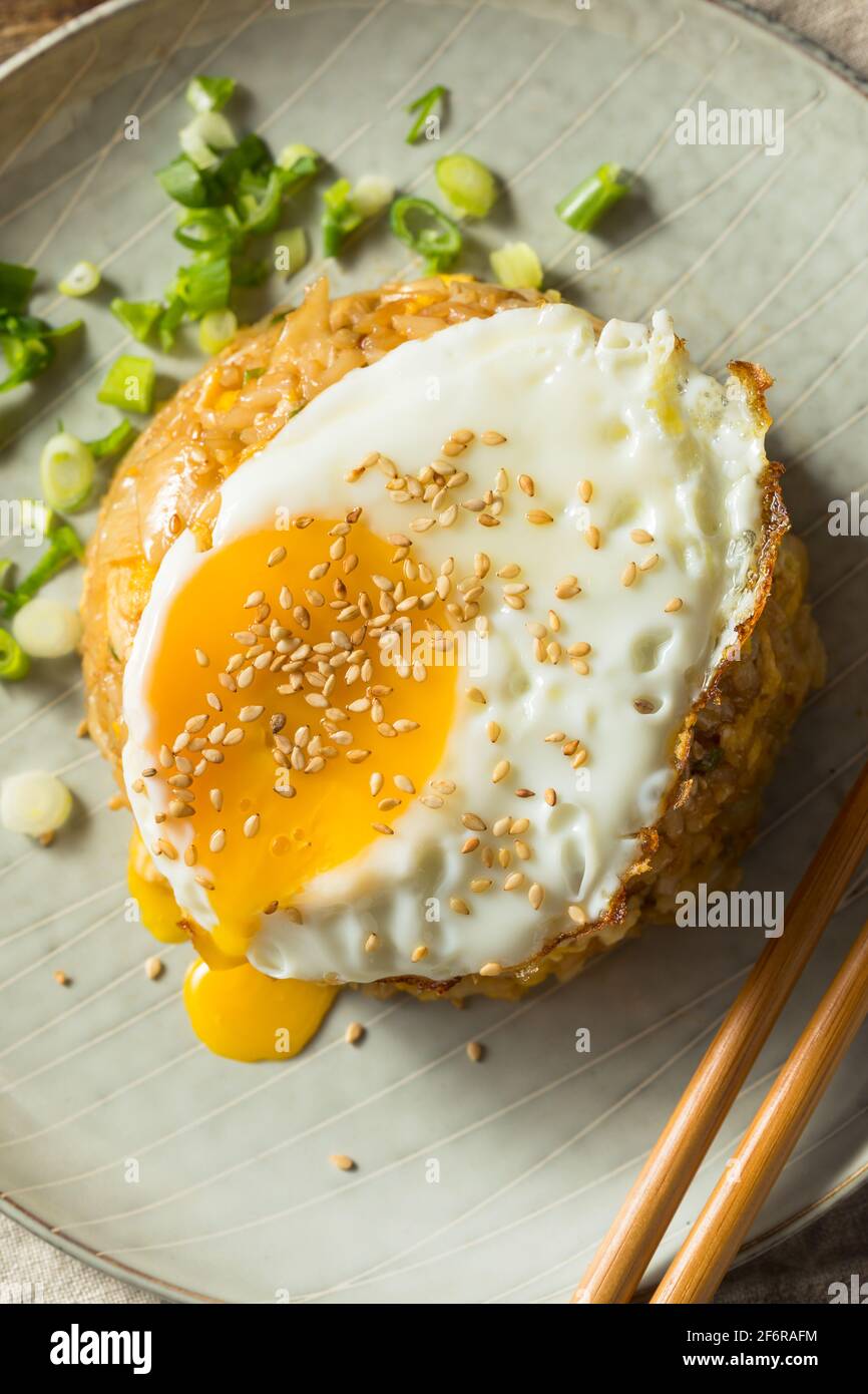 Homemade Potsticker Fried Rice with an Egg Stock Photo - Alamy
