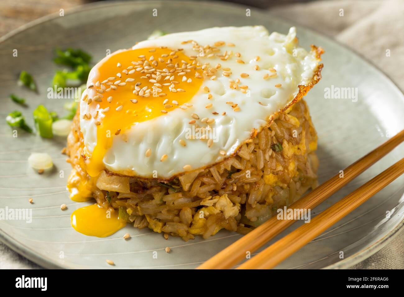 Homemade Potsticker Fried Rice with an Egg Stock Photo - Alamy