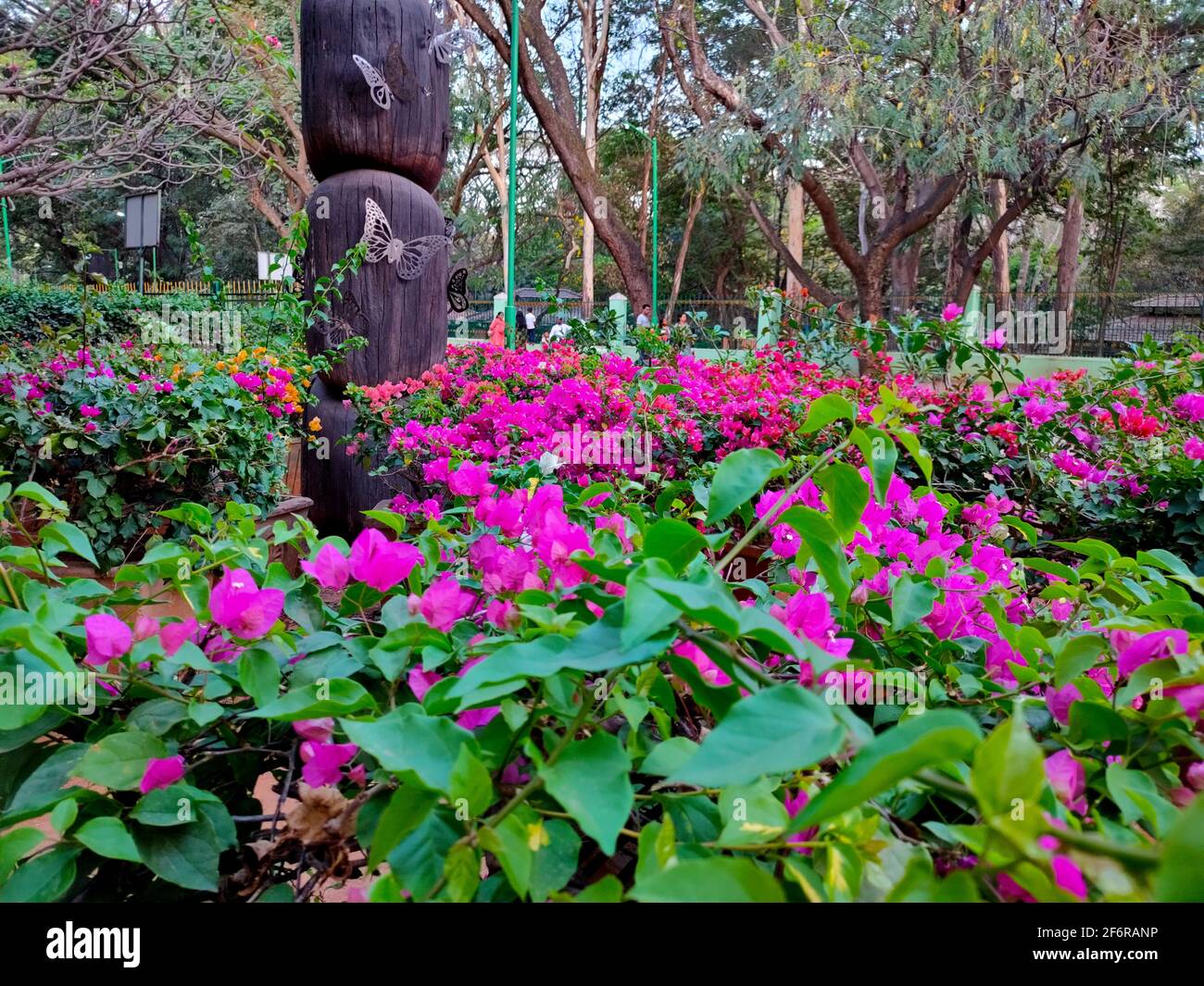 Central library cubbon park hi-res stock photography and images - Alamy