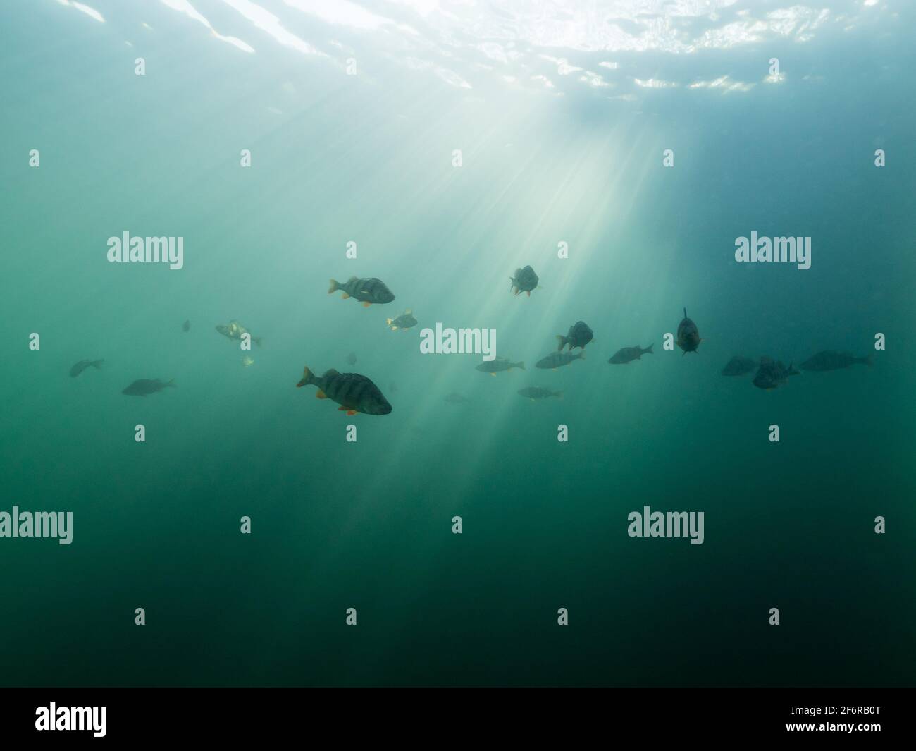 School schooling hi-res stock photography and images - Alamy