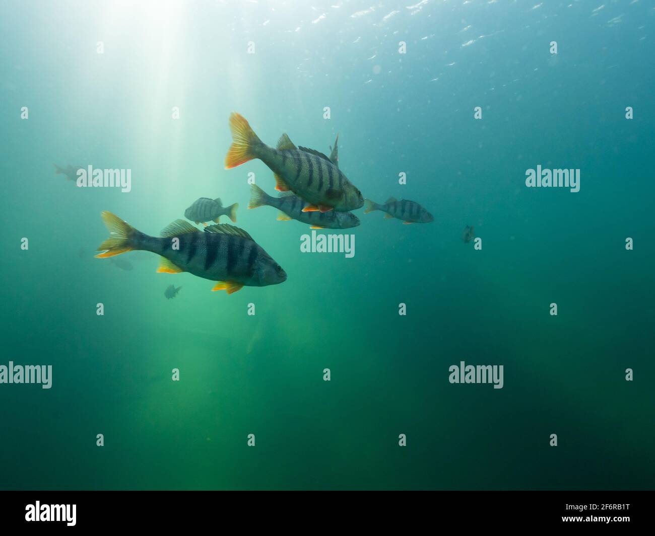 School schooling hi-res stock photography and images - Alamy