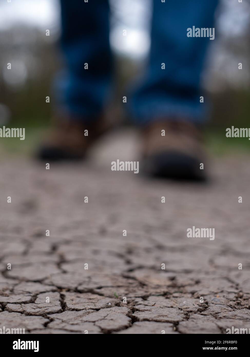 Parched earth photographed after a drought. Man walks along cracked mud ...