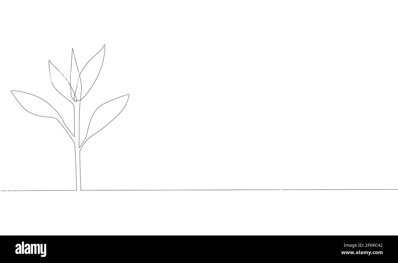 Single continuous line art growing sprout. Plant leaves seed grow soil ...