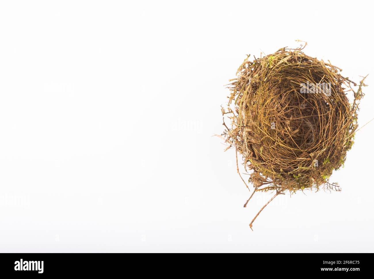 Top view of empty bird nest isolated on white Stock Photo - Alamy