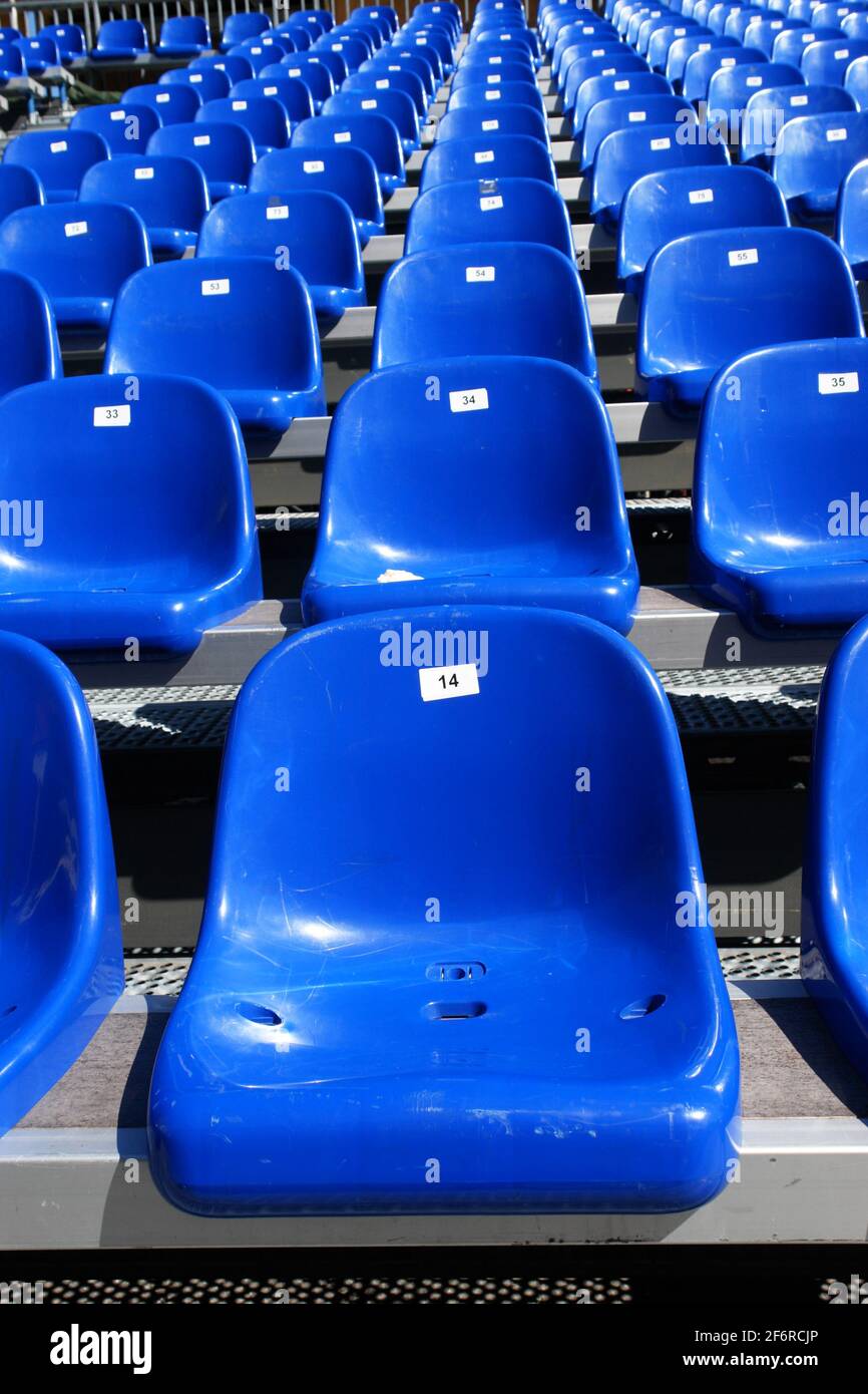 Blue Seats On Stadium Stock Photo - Alamy