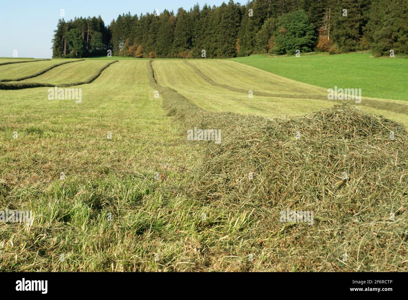 Windrows hi-res stock photography and images - Alamy