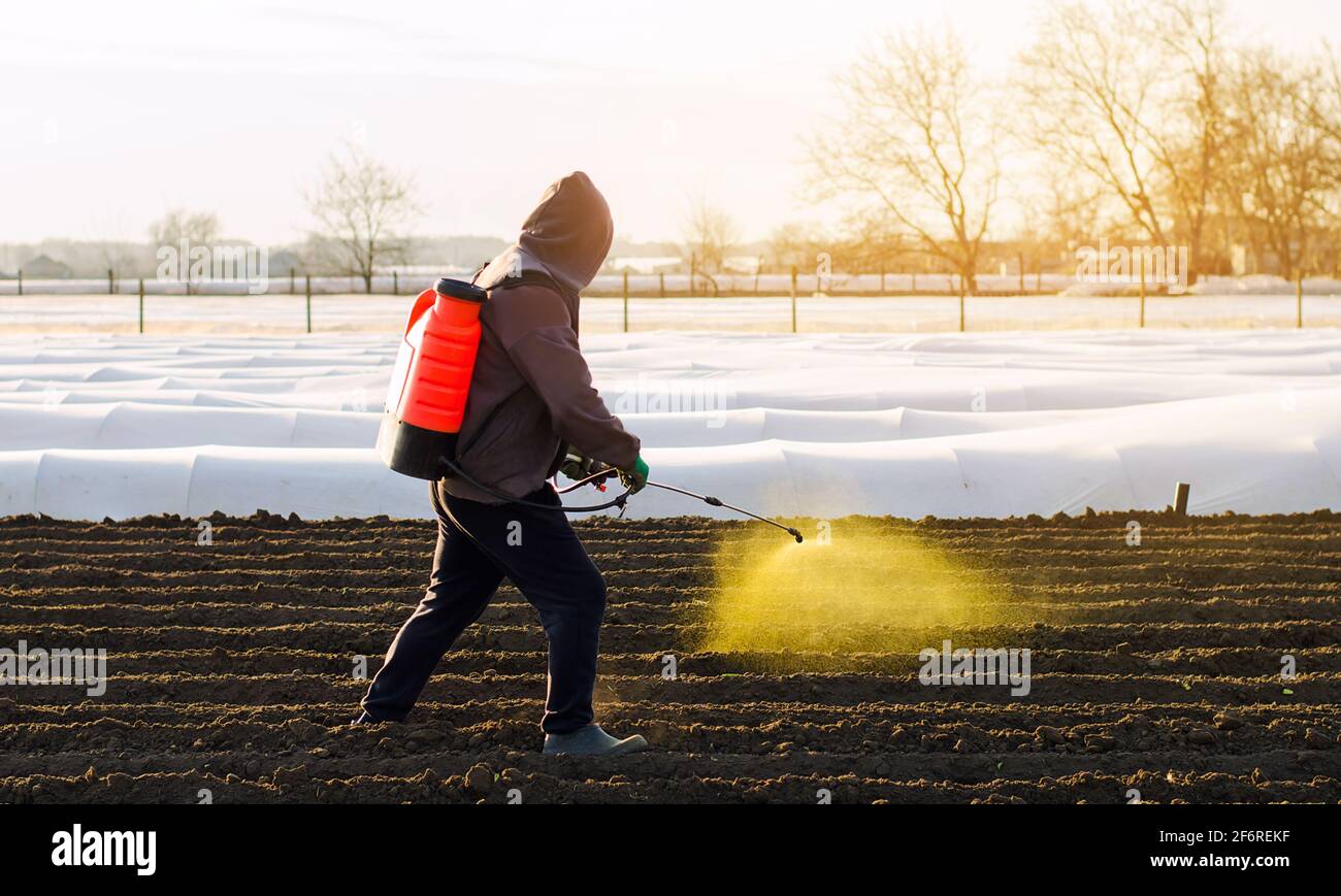 The farmer treats the field from weeds and grass for growing potatoes ...