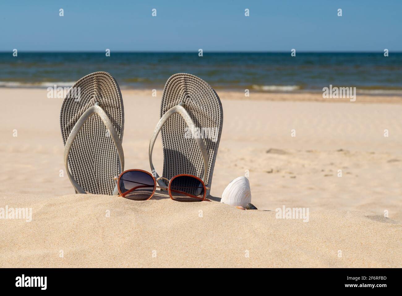 Slipper shell hi-res stock photography and images - Alamy
