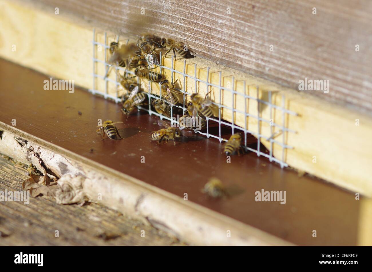 beehive bee hives Stock Photo - Alamy