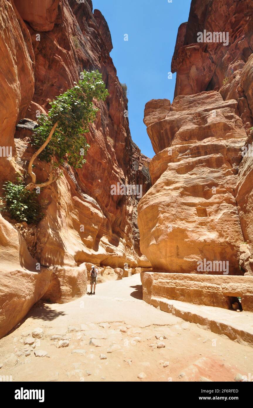 Scenes of Petra, jordan Stock Photo - Alamy