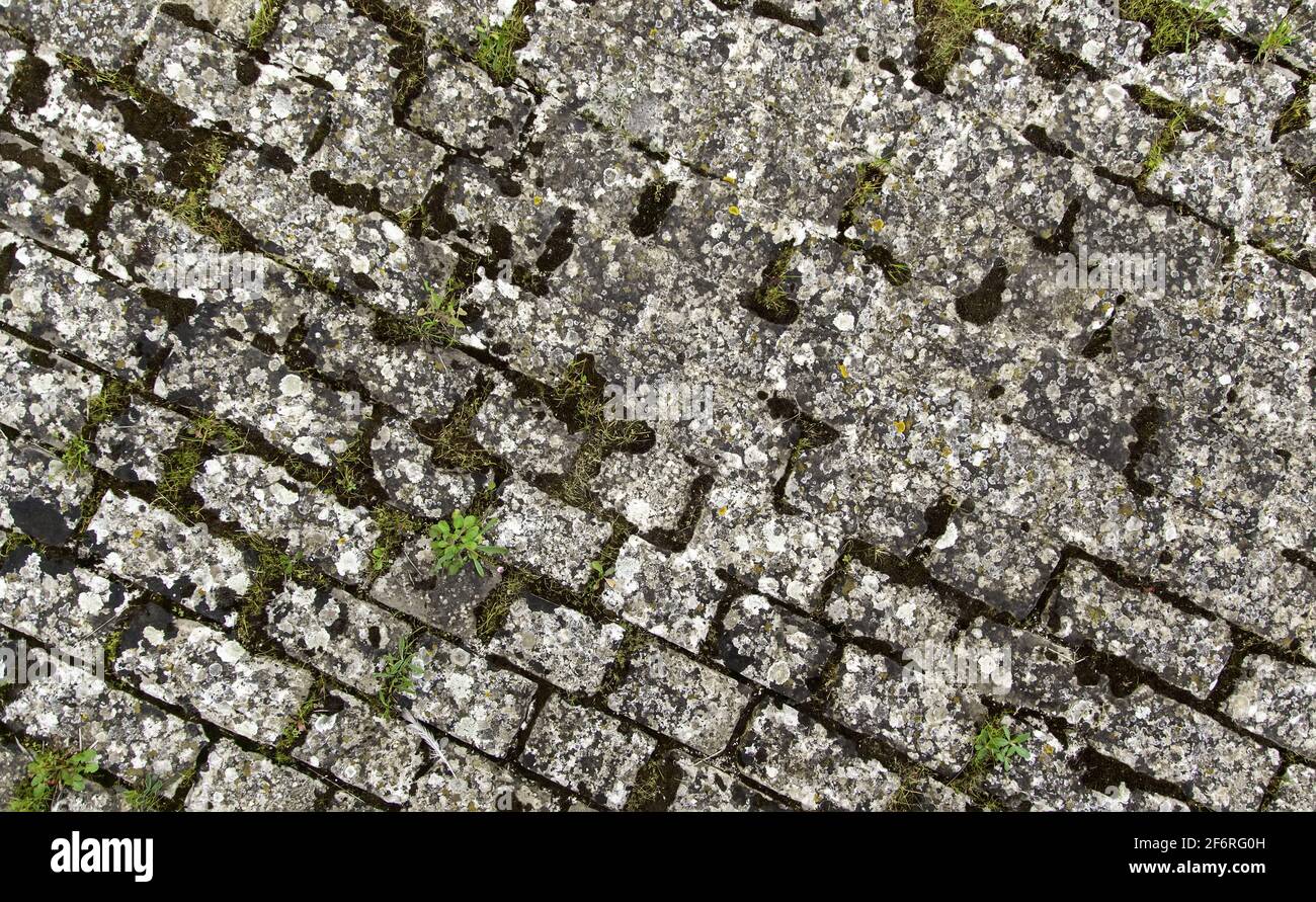 Masonry structure hi-res stock photography and images - Alamy