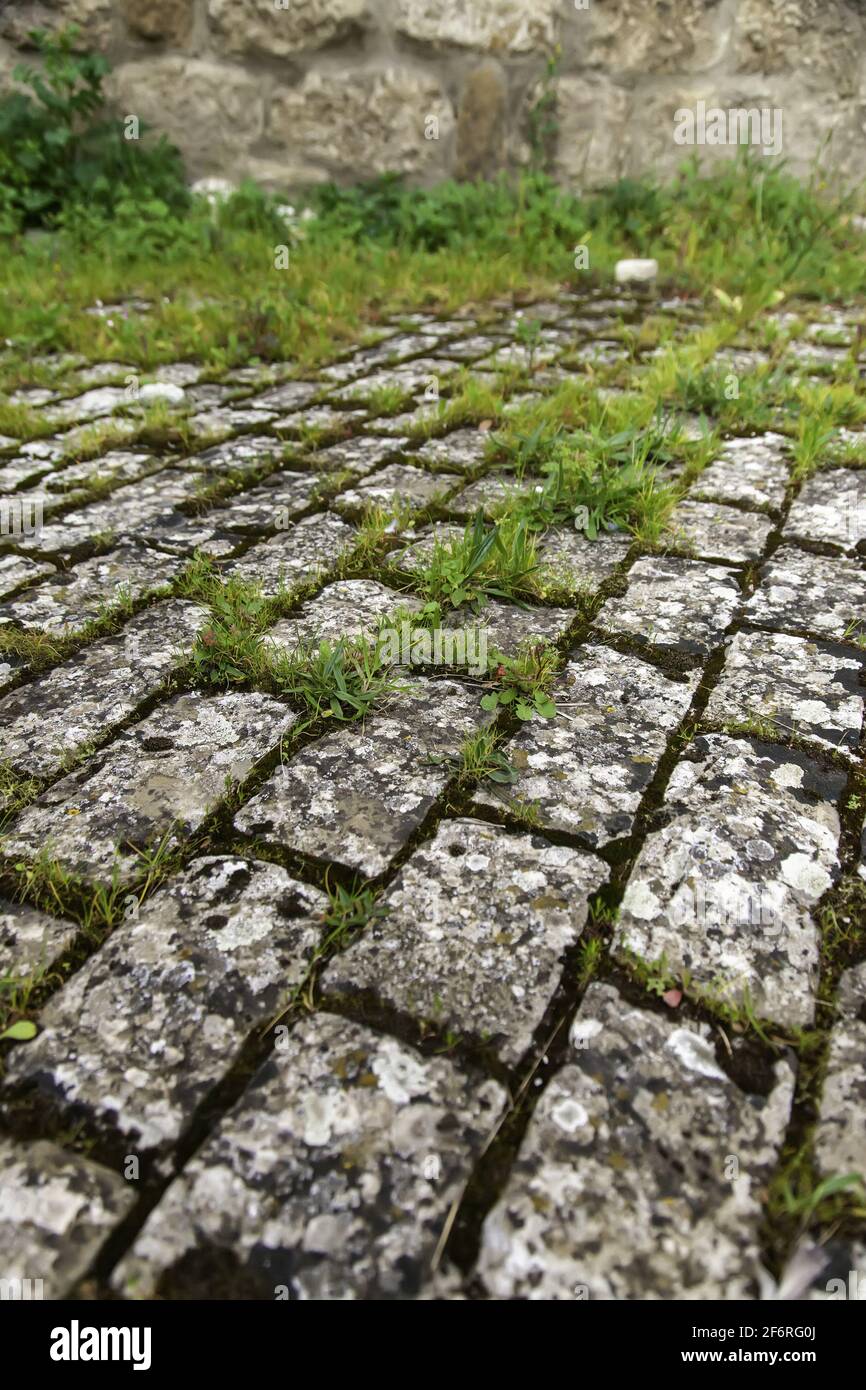 Stone floor with moss in urban street, construction and architecture ...