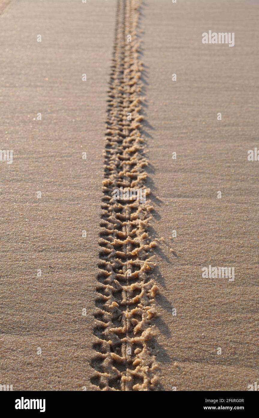 Tracks On Sand Stock Photo - Alamy