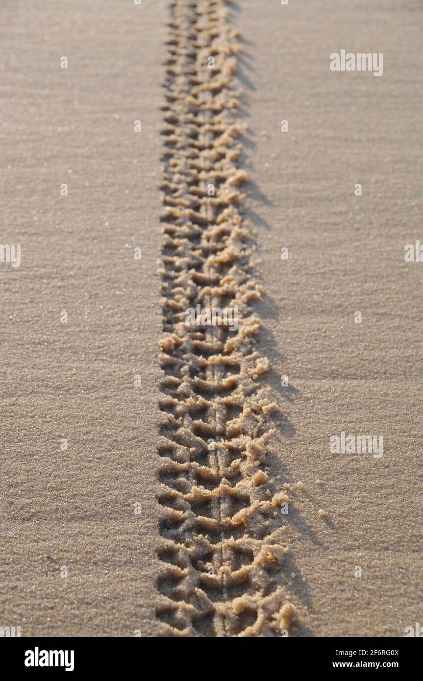 Tracks On Sand Stock Photo - Alamy