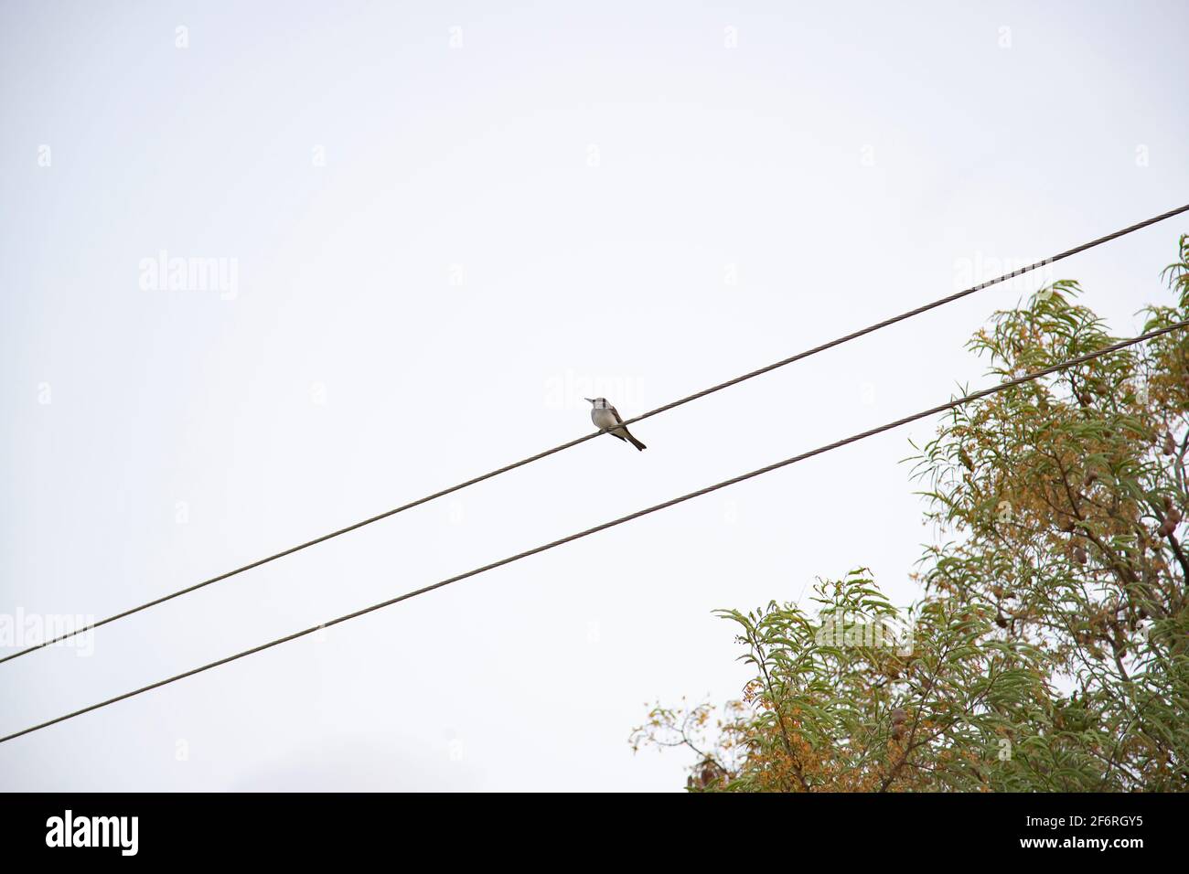 Powerlines hi-res stock photography and images - Alamy