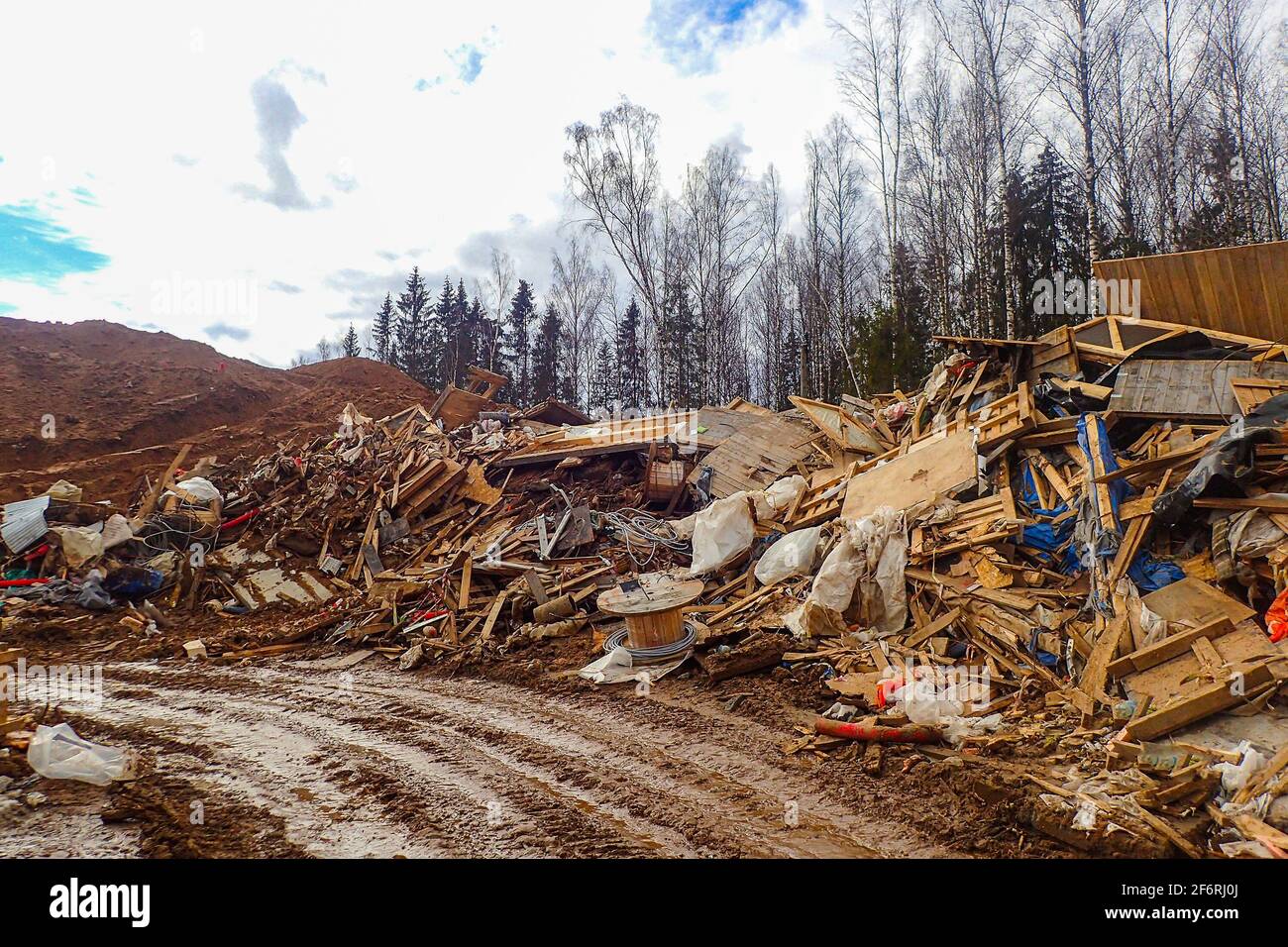 Illegal dumping of garbage in the forest. Landfill in nature ...