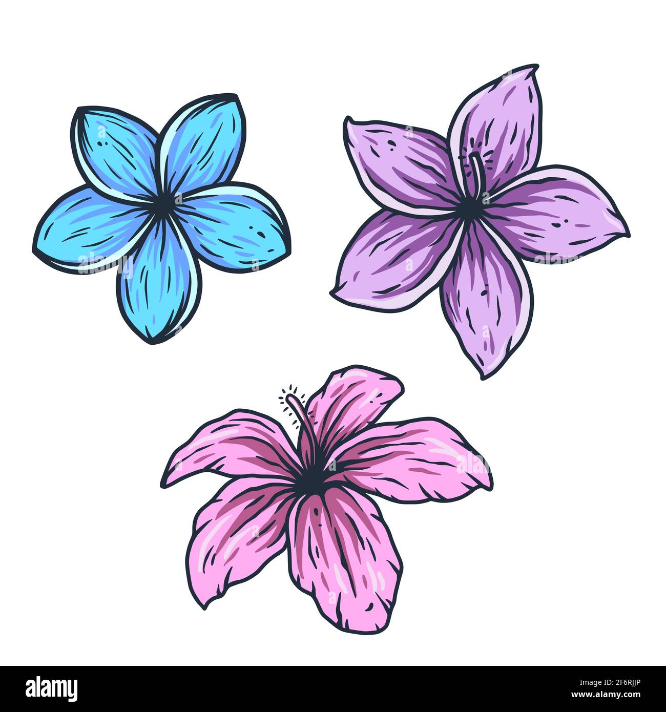 Tiki flower Cut Out Stock Images & Pictures - Alamy