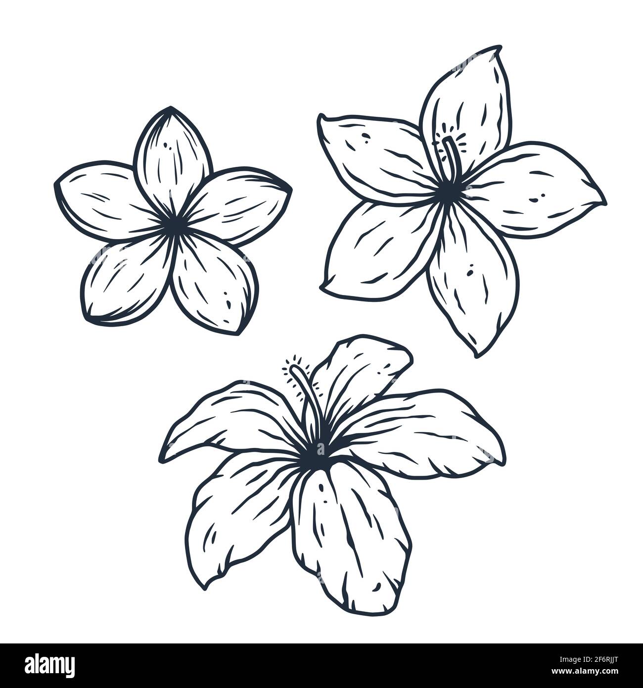Tiki flower Cut Out Stock Images & Pictures - Alamy