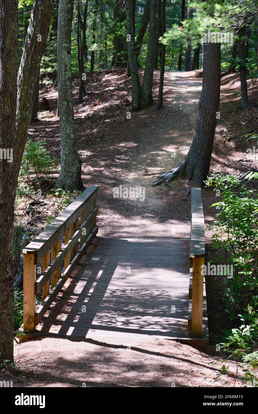 Peaceful trail thru the woods leading across a footbridge Stock Photo ...